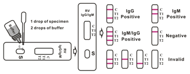 Rubella IgG/IgM Ab Rapid Test WB/S/P,Cassette/Strip,High quality